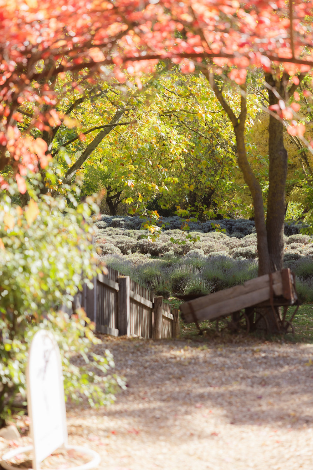 Top 10 Things to Do in Daylesford: A local's guide to Victoria's favou