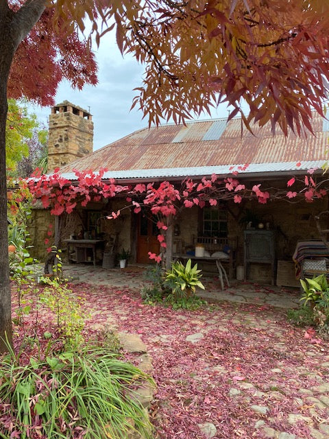 Lavender Farm | French Lavender - Lavandula Farm Daylesford