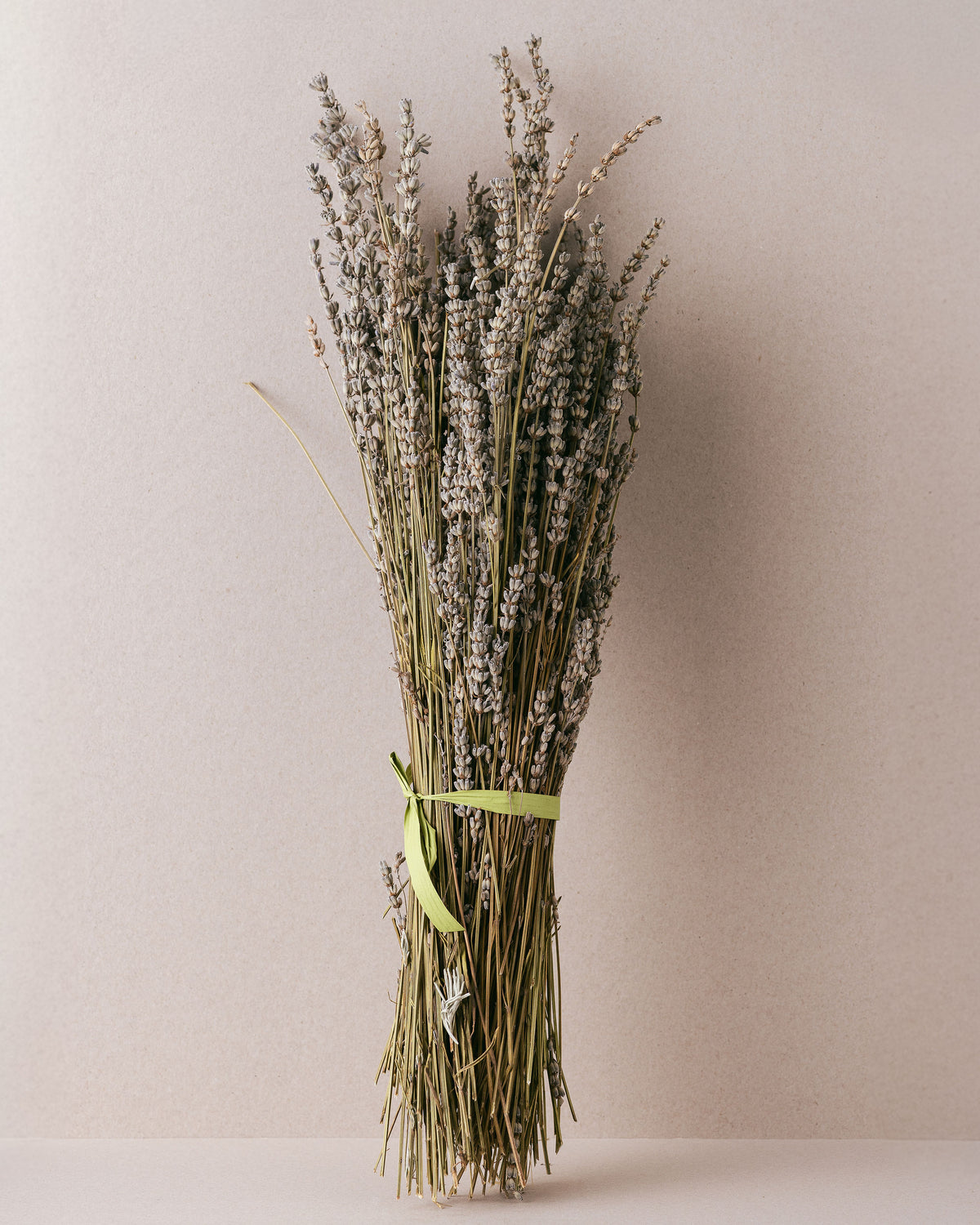 Dried Lavender Bunch