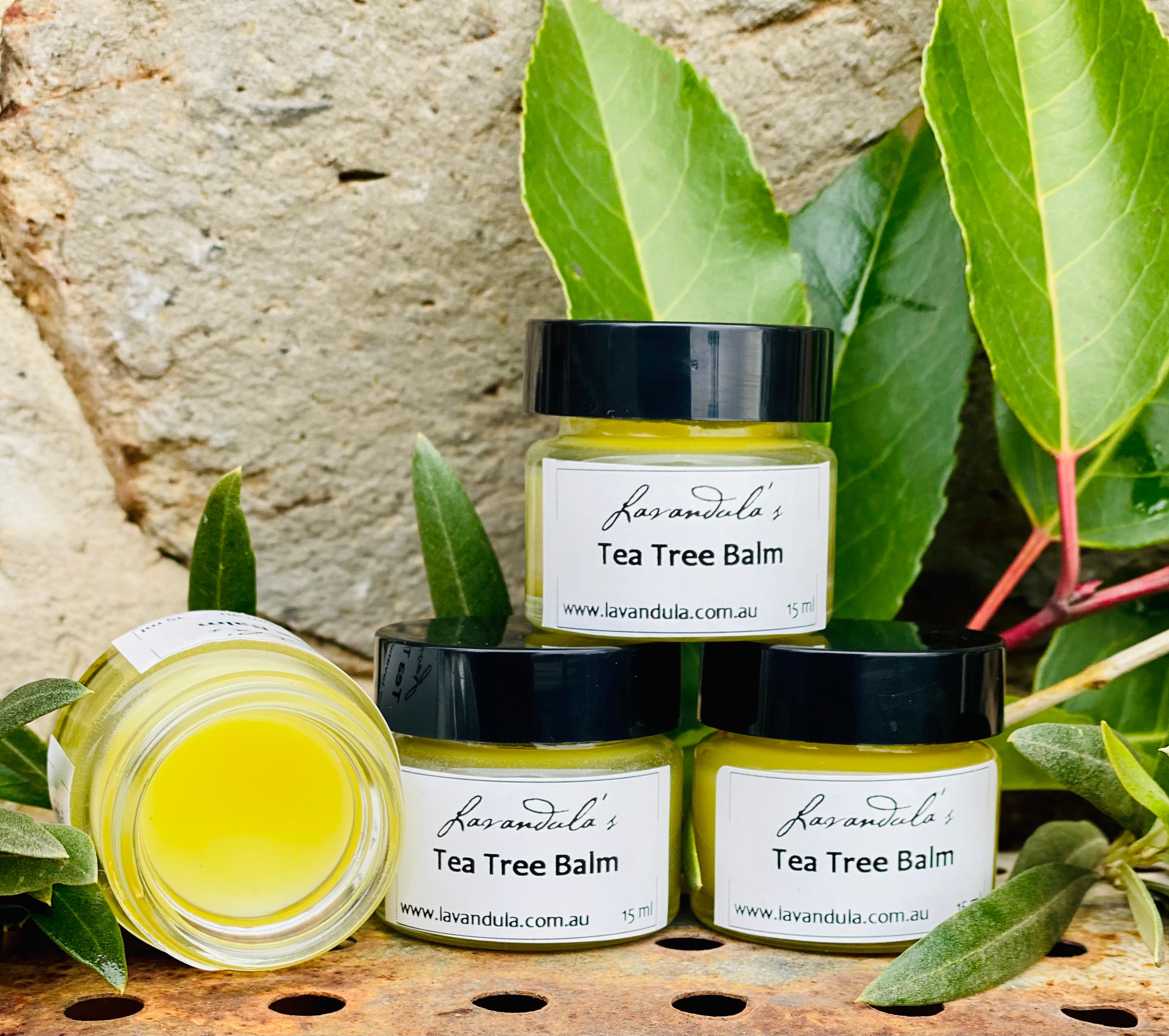 Tea Tree Balm – Lavandula Farm